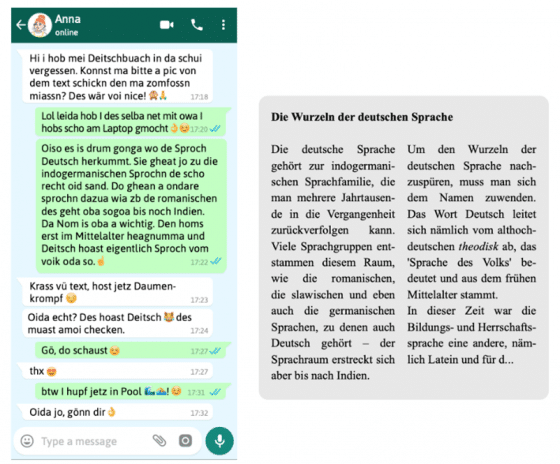 Sprachliche Vielfalt verstehen, wertschätzen, ausbauen - BIMM ...